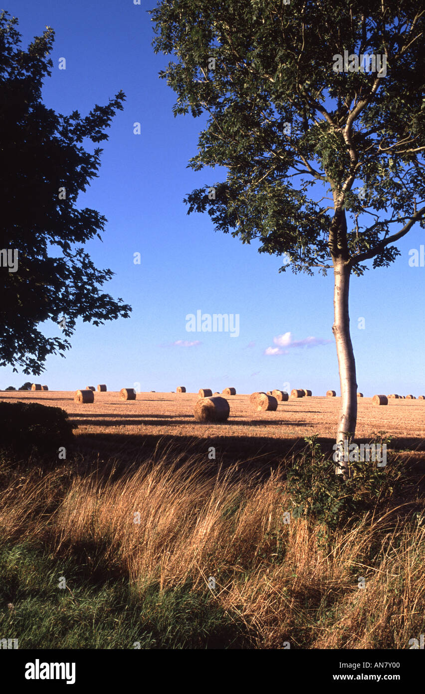 WOLDS IN LINCOLNSHIRE ENGLAND UK Stock Photo - Alamy