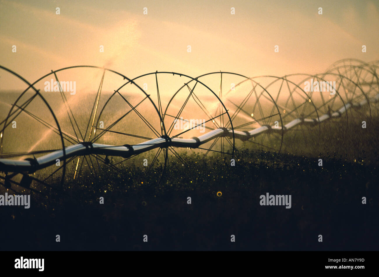 Arizona irrigation hi-res stock photography and images - Alamy