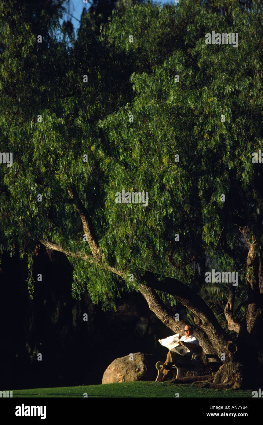 A retired executive sits under a tree and reads the newspaper Stock ...
