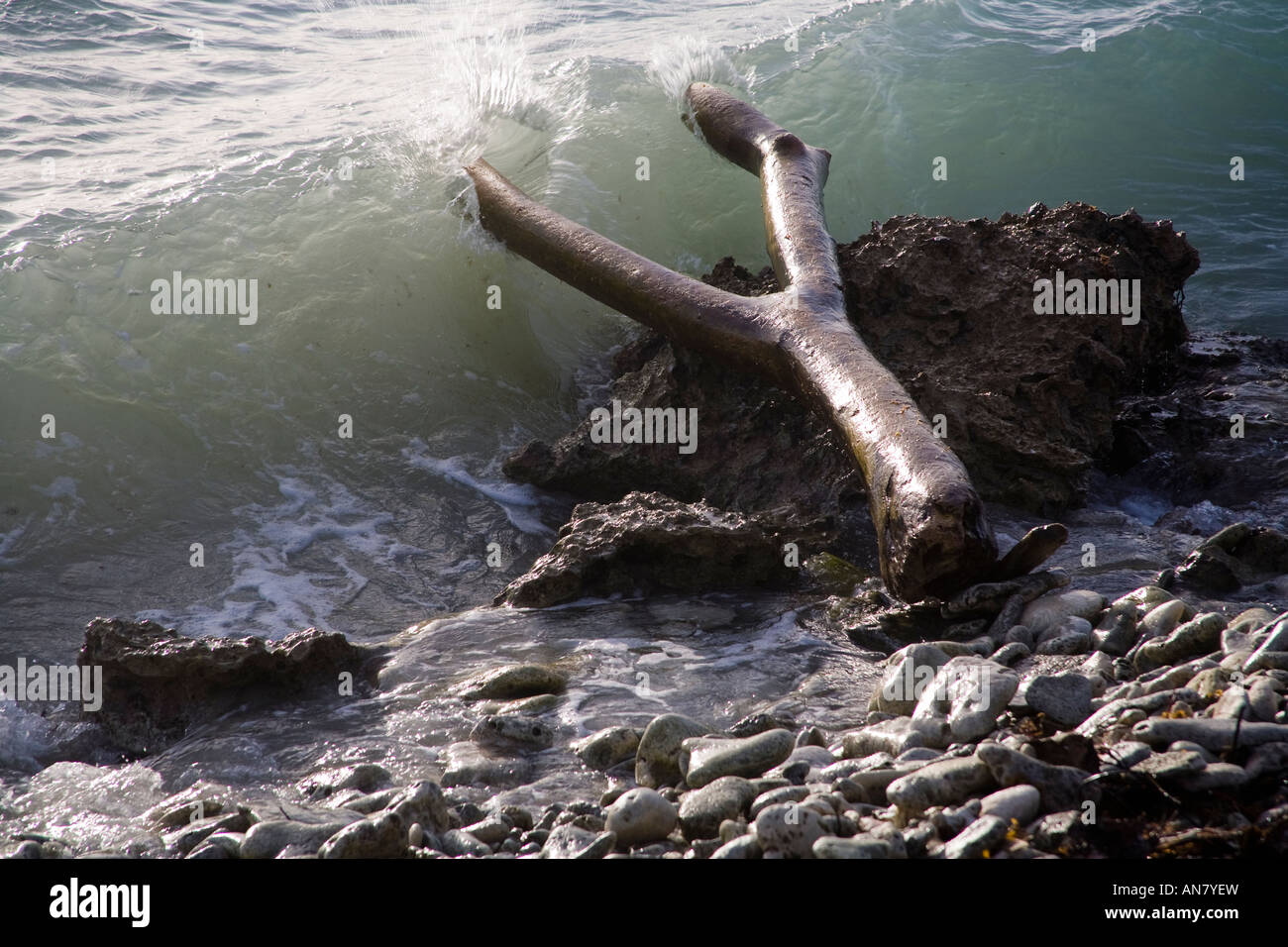 Wave crashing over driftwood hi-res stock photography and images - Alamy
