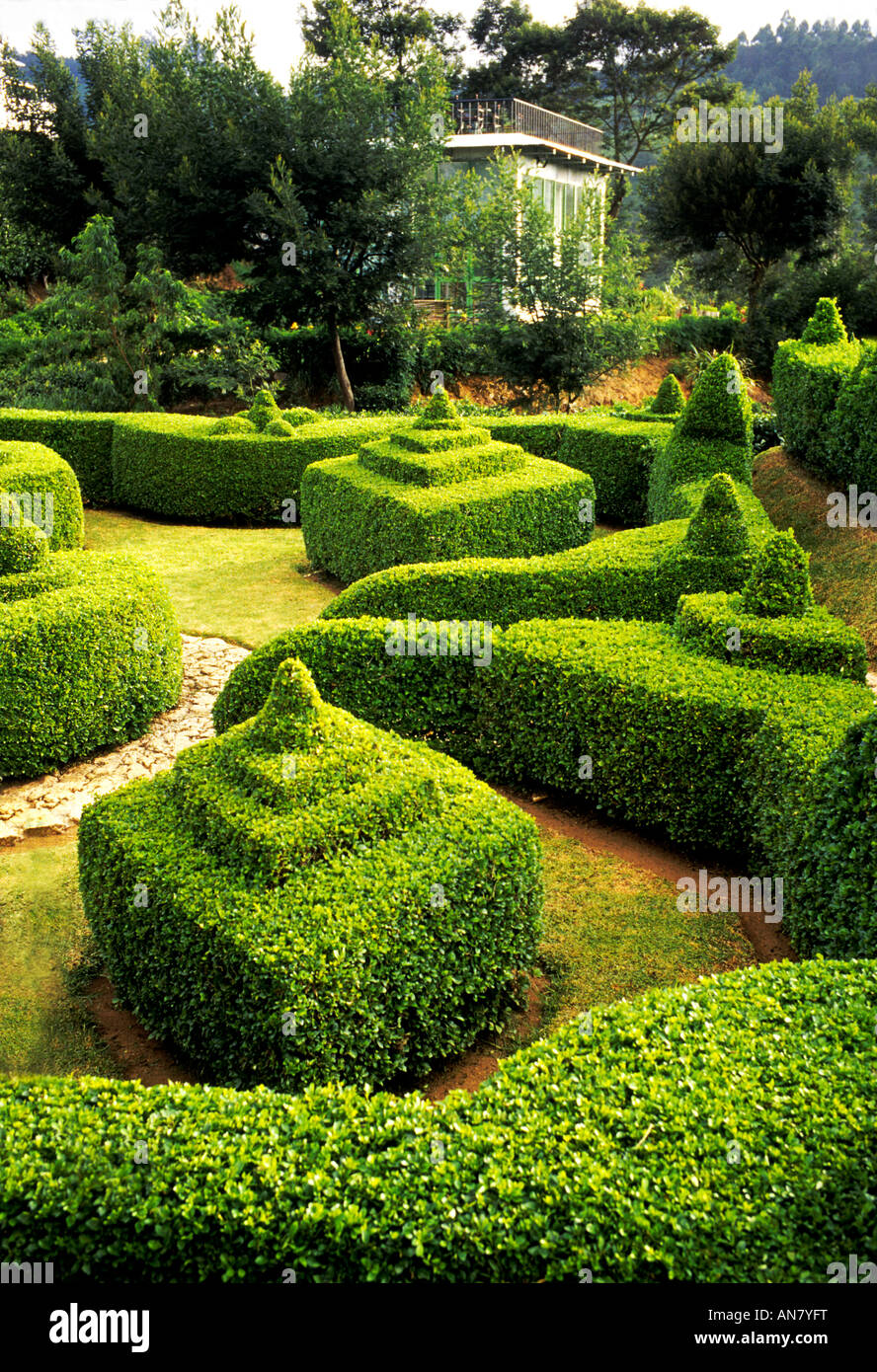 Neat sculptured topiary hedges in an ornamental garden in hilly terrain ...