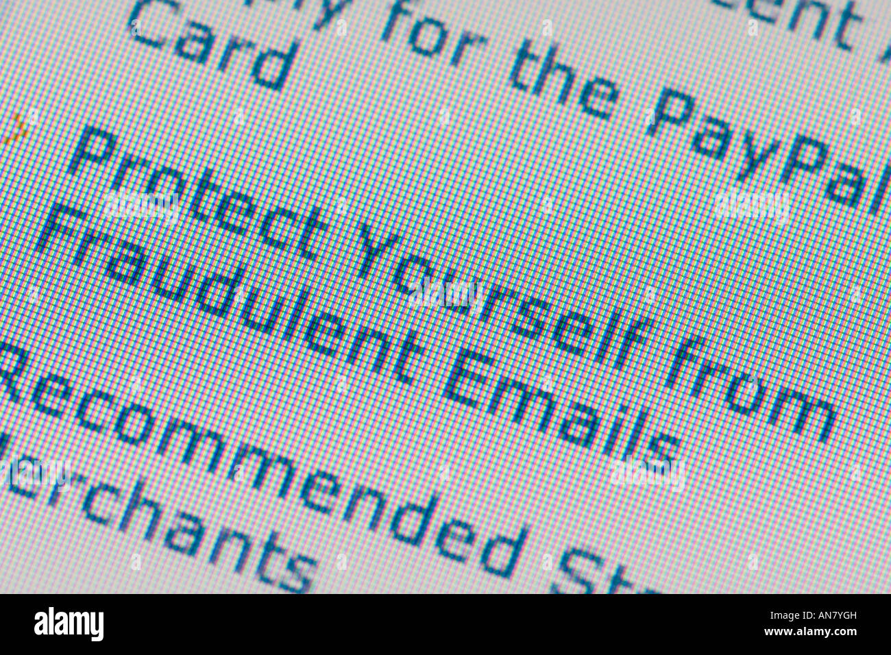 Computer screen shot extreme close up of Paypal wording protect ...
