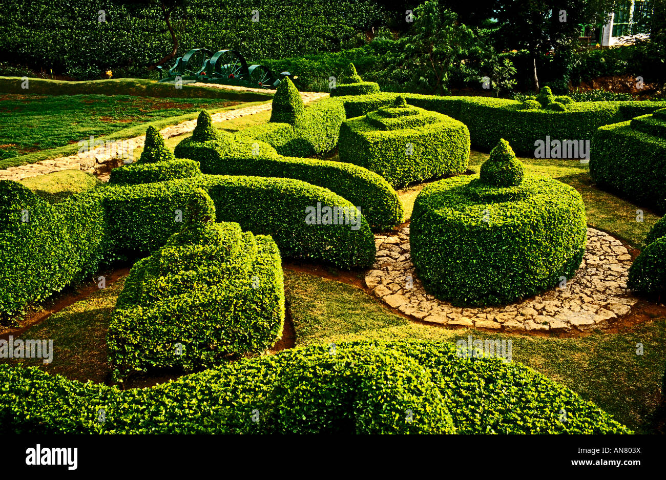 Neat sculptured topiary hedges in an ornamental garden in hilly terrain ...