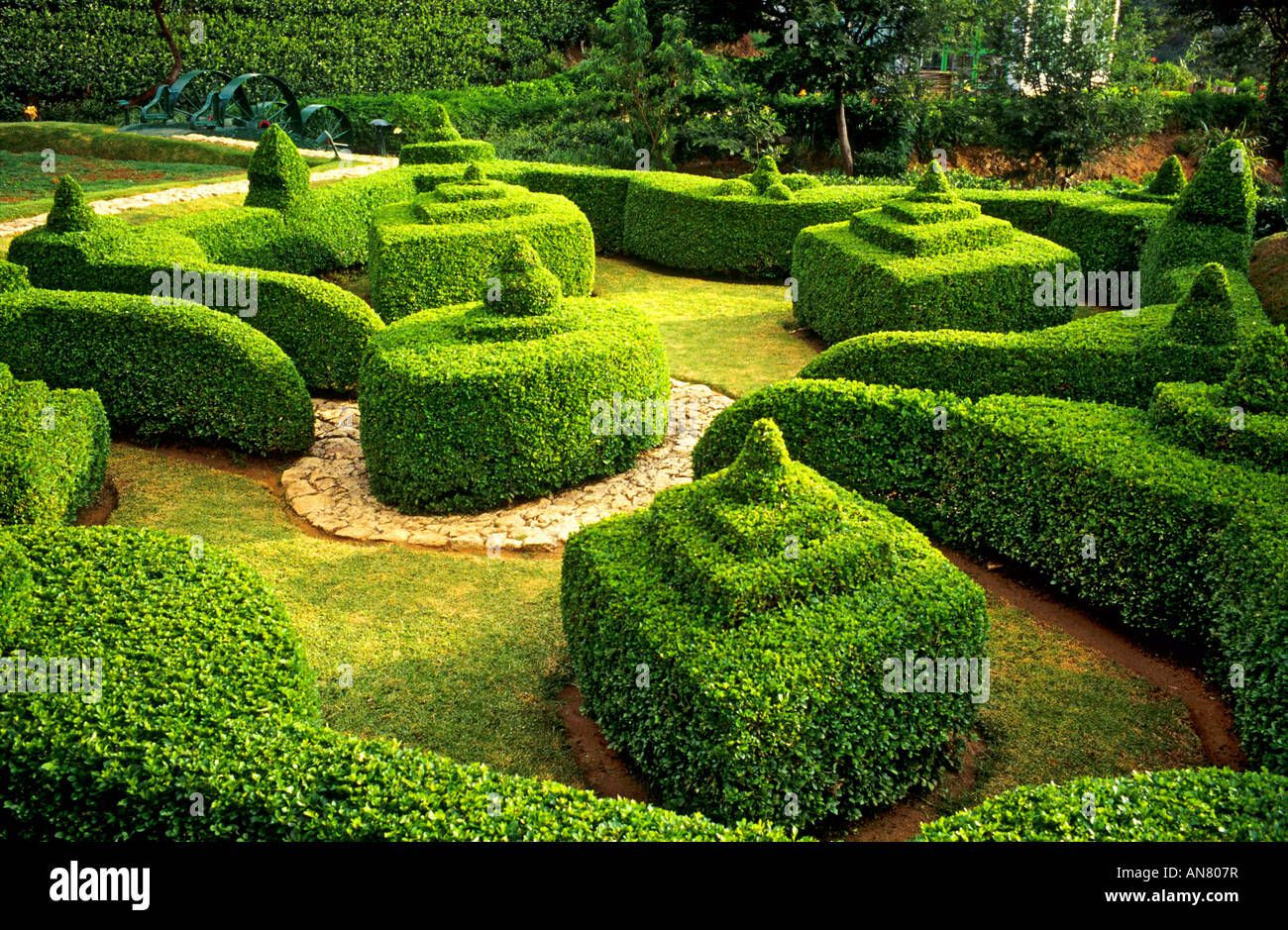 Neat sculptured topiary hedges in an ornamental garden in hilly terrain ...