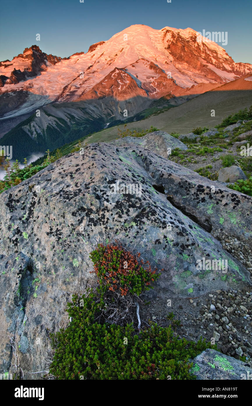 Mt Rainier at sunrise Stock Photo - Alamy