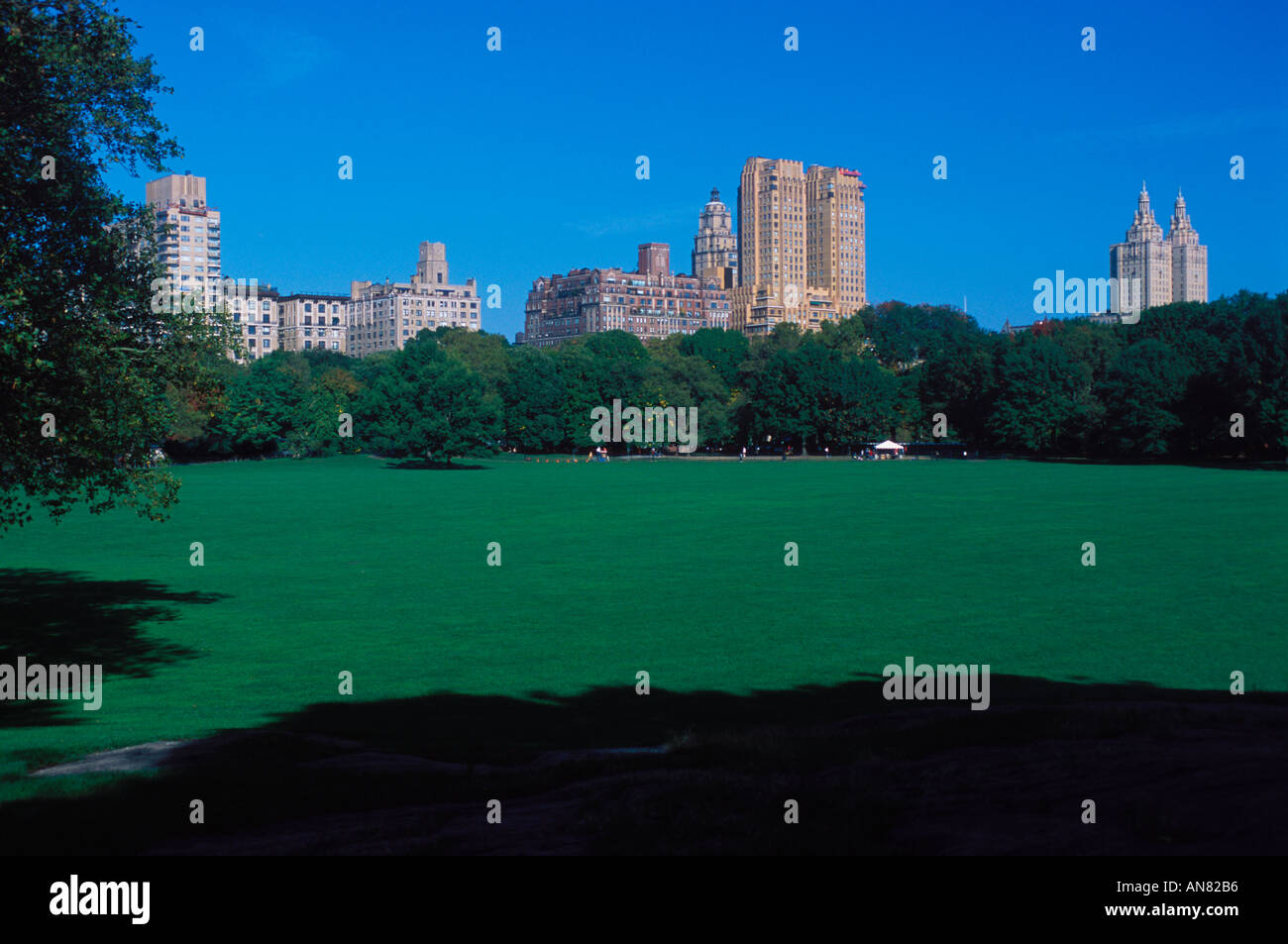 Central Park New York City field in forground with skyline in back ...