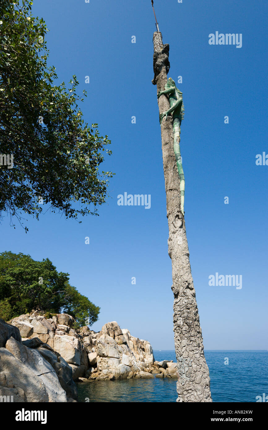 Iguana puerto vallarta jalisco mexico hi-res stock photography and ...