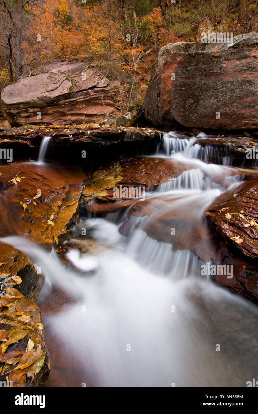 Subway - Left Fork of North Creek Stock Photo - Alamy