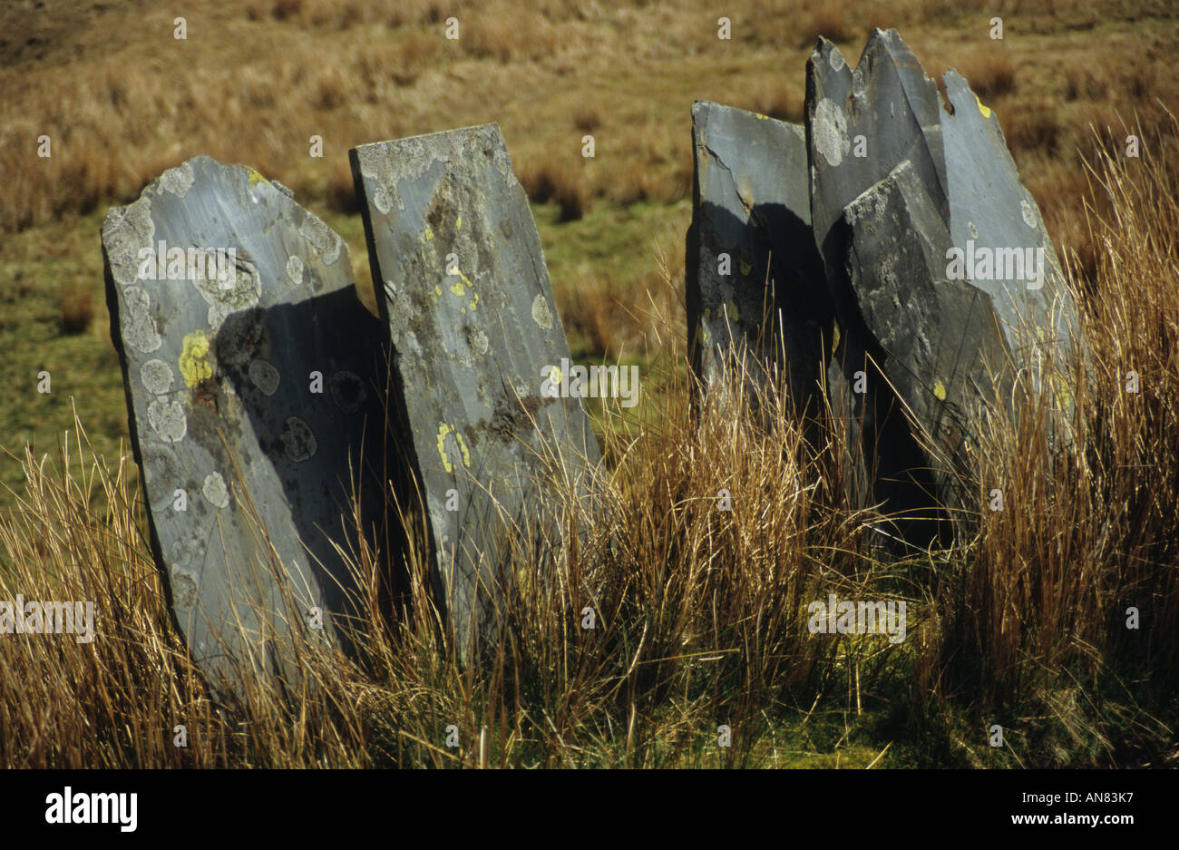 Heritage slate fence hi-res stock photography and images - Alamy
