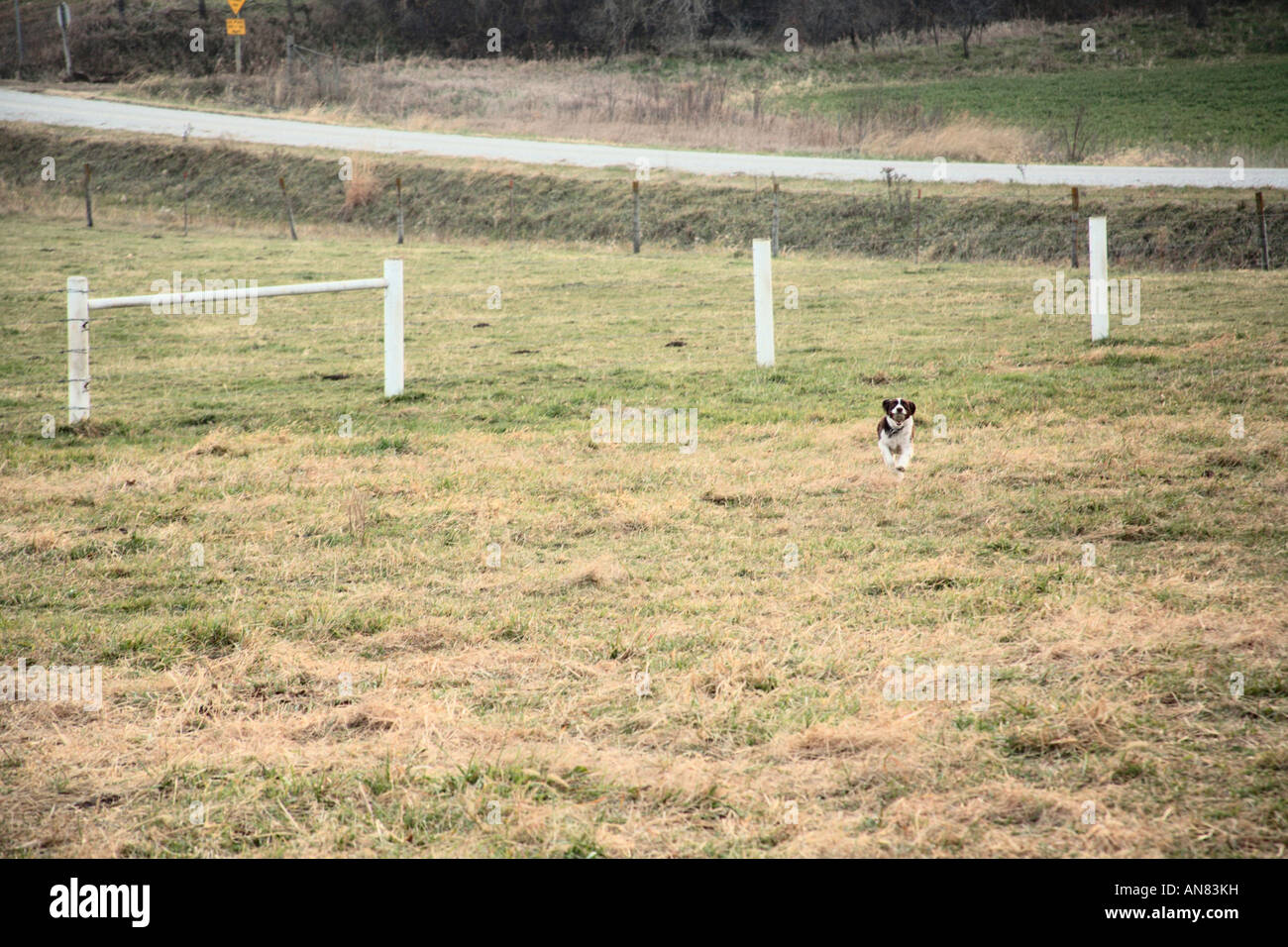 Pasture work hi-res stock photography and images - Alamy