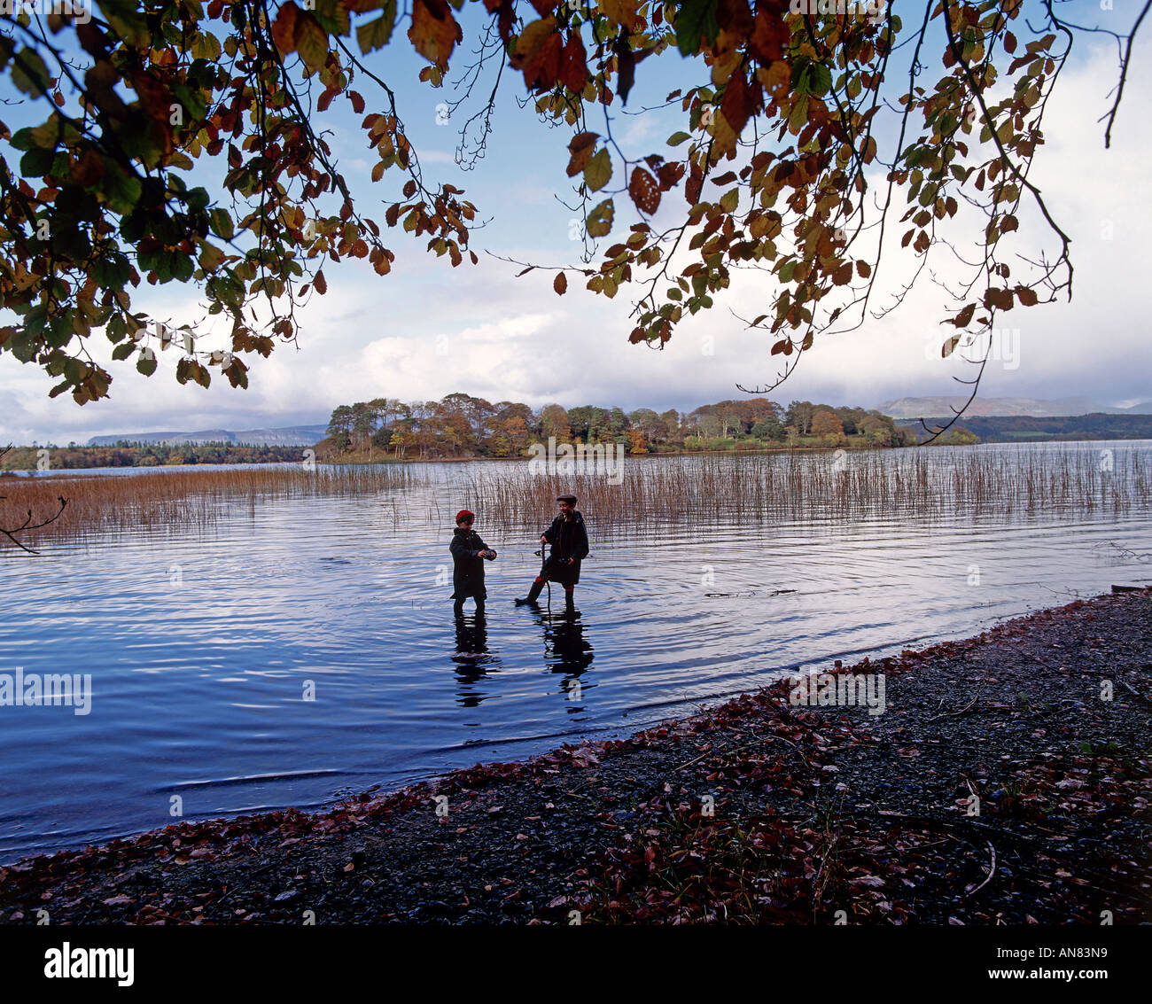 People standing beneath trees in the reedy shallows of Lough Gill in ...