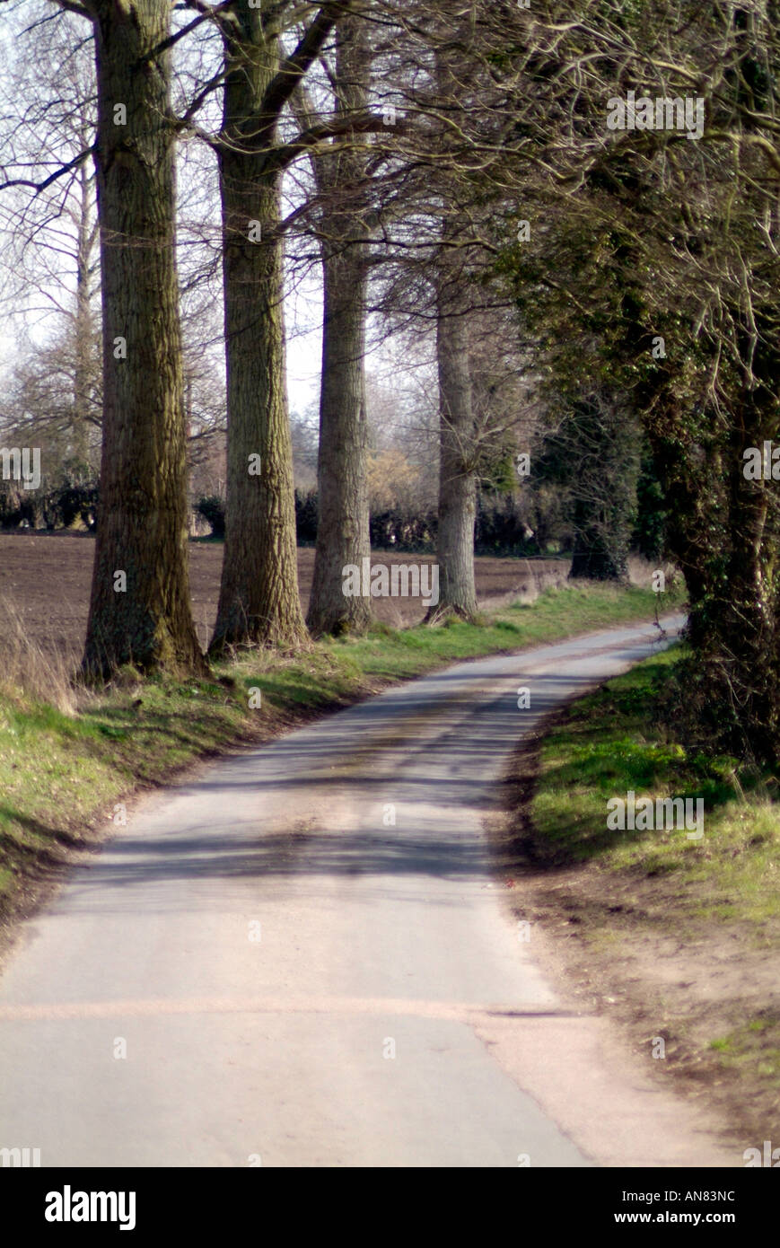 curved country road Stock Photo - Alamy