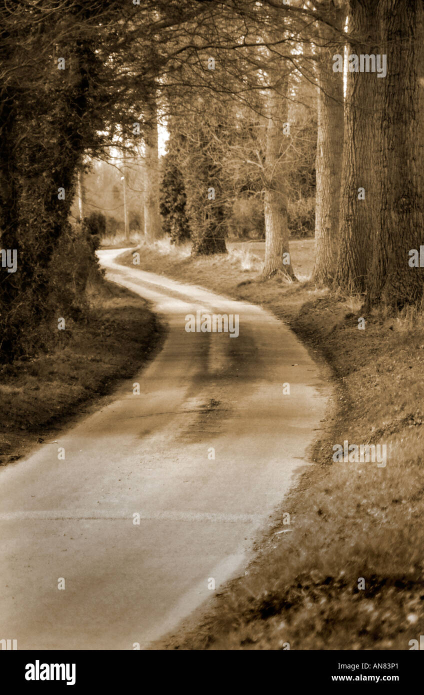 Countryside countryroad hi-res stock photography and images - Alamy