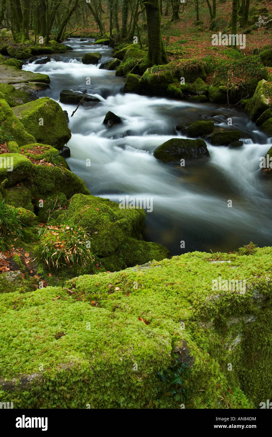 Golitha Falls, Bodmin Moor, Cornwall, UK Stock Photo - Alamy