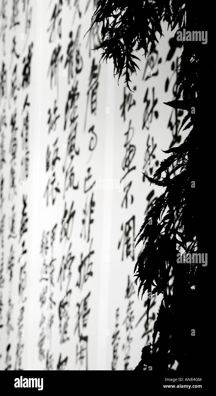 Chinese writing script hi-res stock photography and images - Alamy