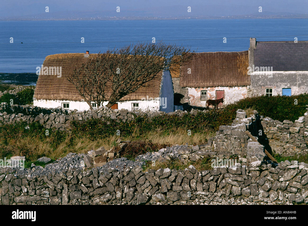 Aran cottages with crumbling dry stone walls marking the field ...