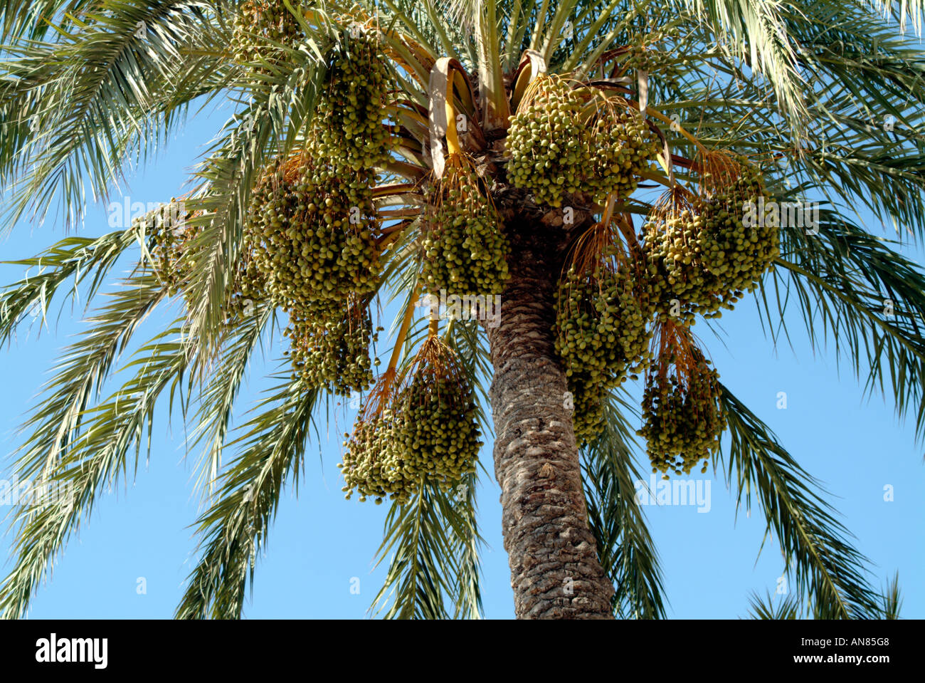 Costa plenty hi-res stock photography and images - Alamy
