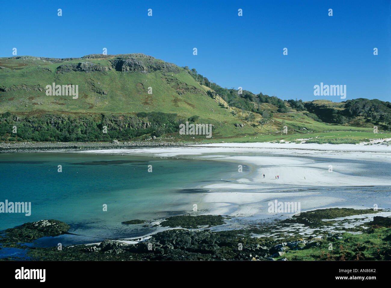 Calgary Bay Isle of Mull Stock Photo - Alamy