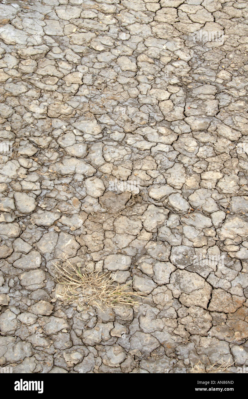 Scorched earth hi-res stock photography and images - Alamy