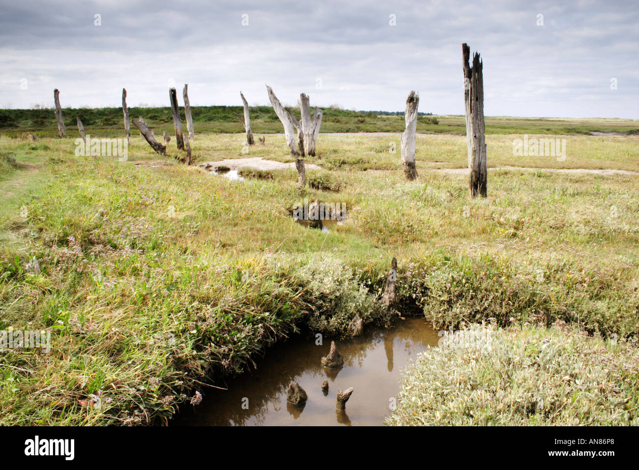 Spooky landscape hi-res stock photography and images - Alamy