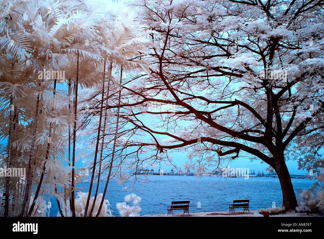 Digital Infrared Photography Natural Scenes Stock Photo - Alamy