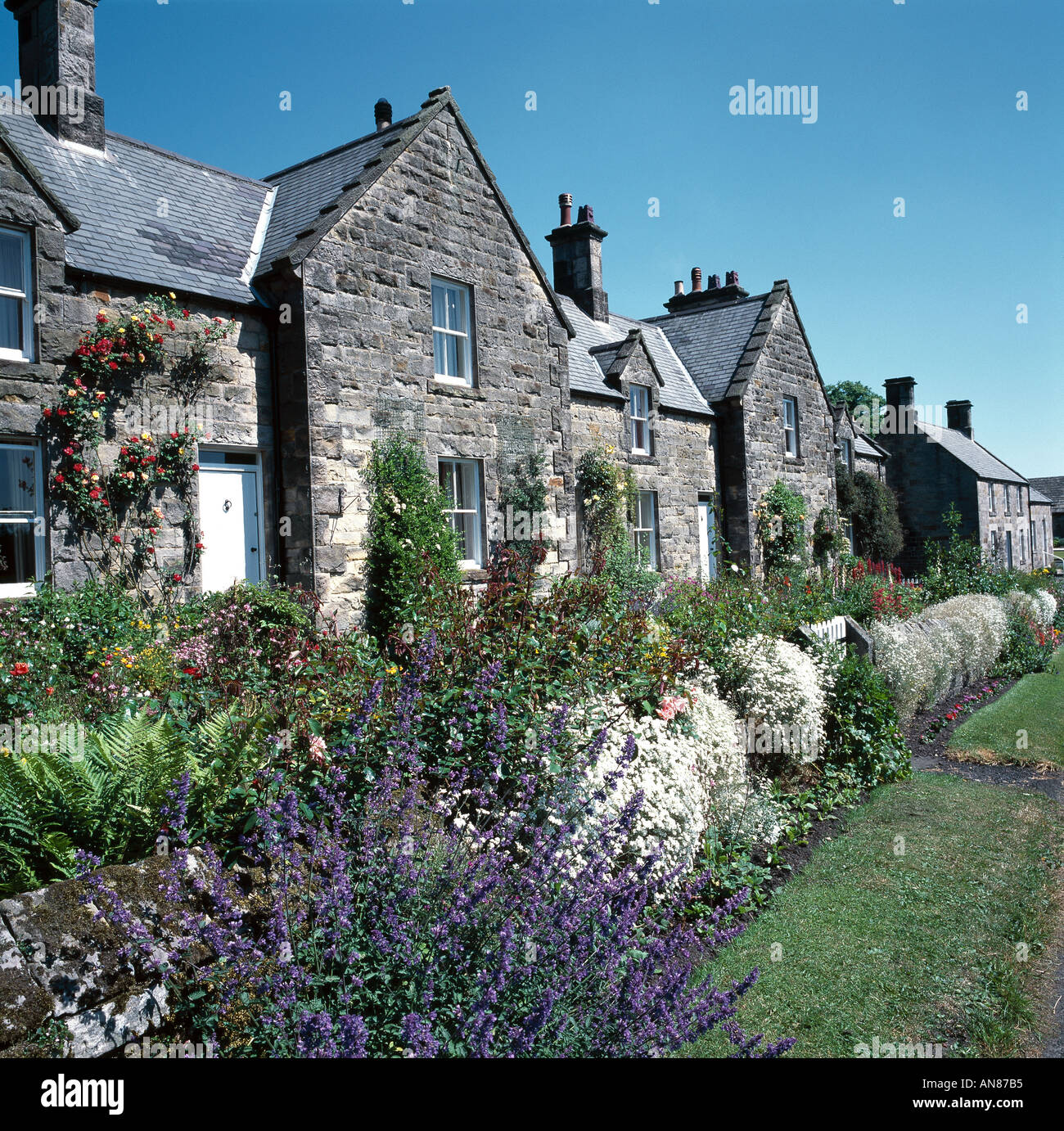 Cambo Northumberland High Resolution Stock Photography and Images - Alamy