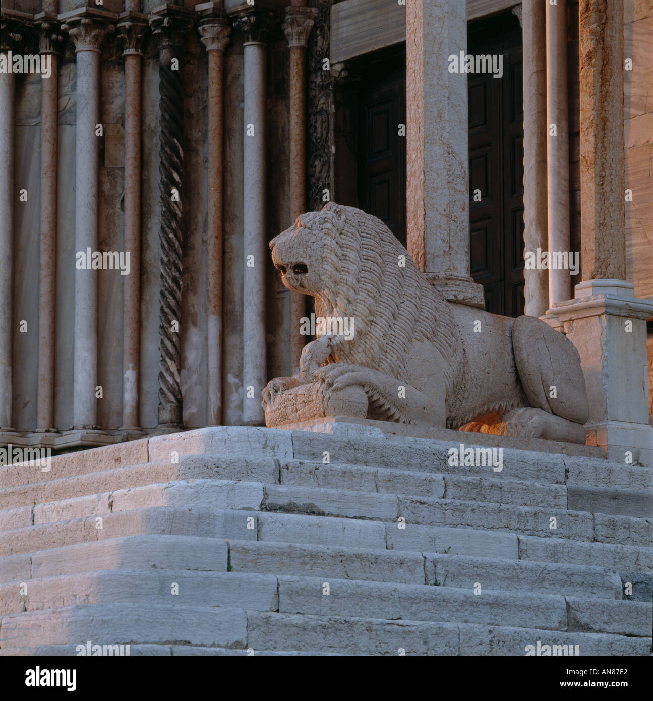 Duomo, Ancona, Marche. Stone lion on steps Stock Photo - Alamy