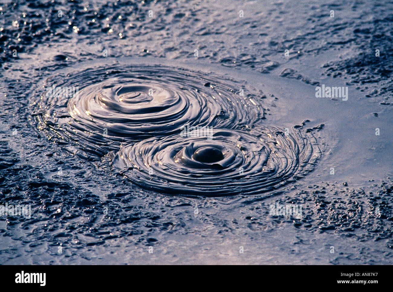 Rotorua bubbling mud pools Stock Photo - Alamy