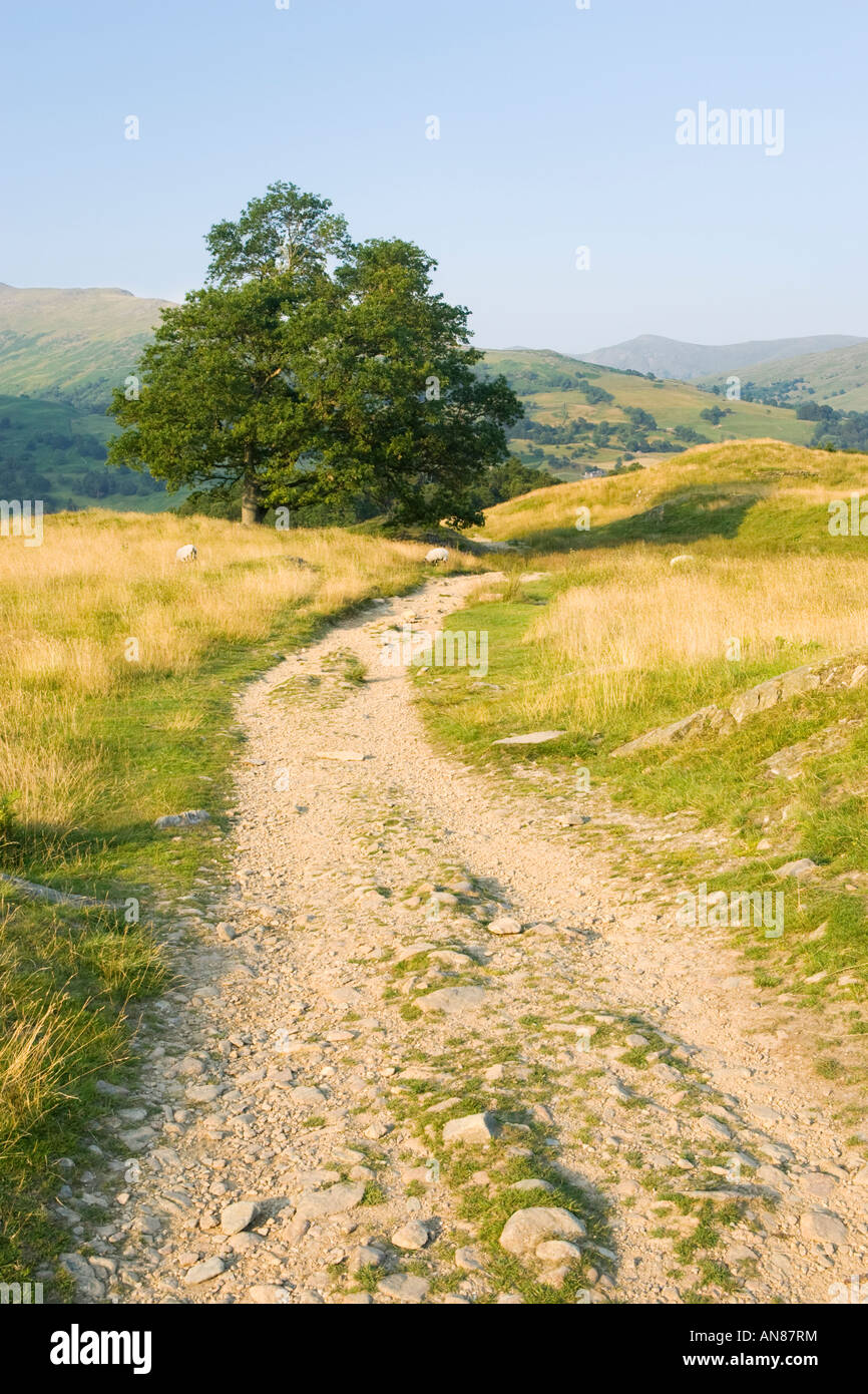 Path track ambleside field rural hi-res stock photography and images ...