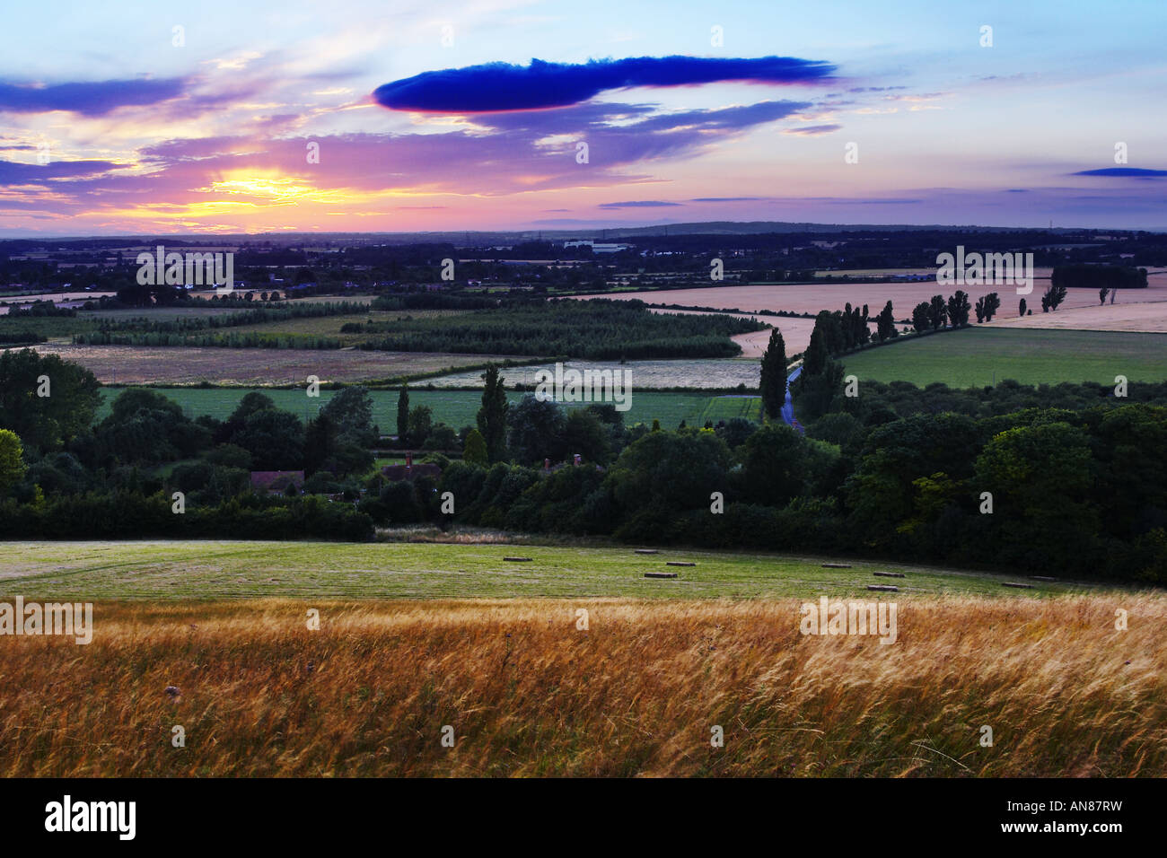 View from Whitnam Clumps at sunset Stock Photo - Alamy