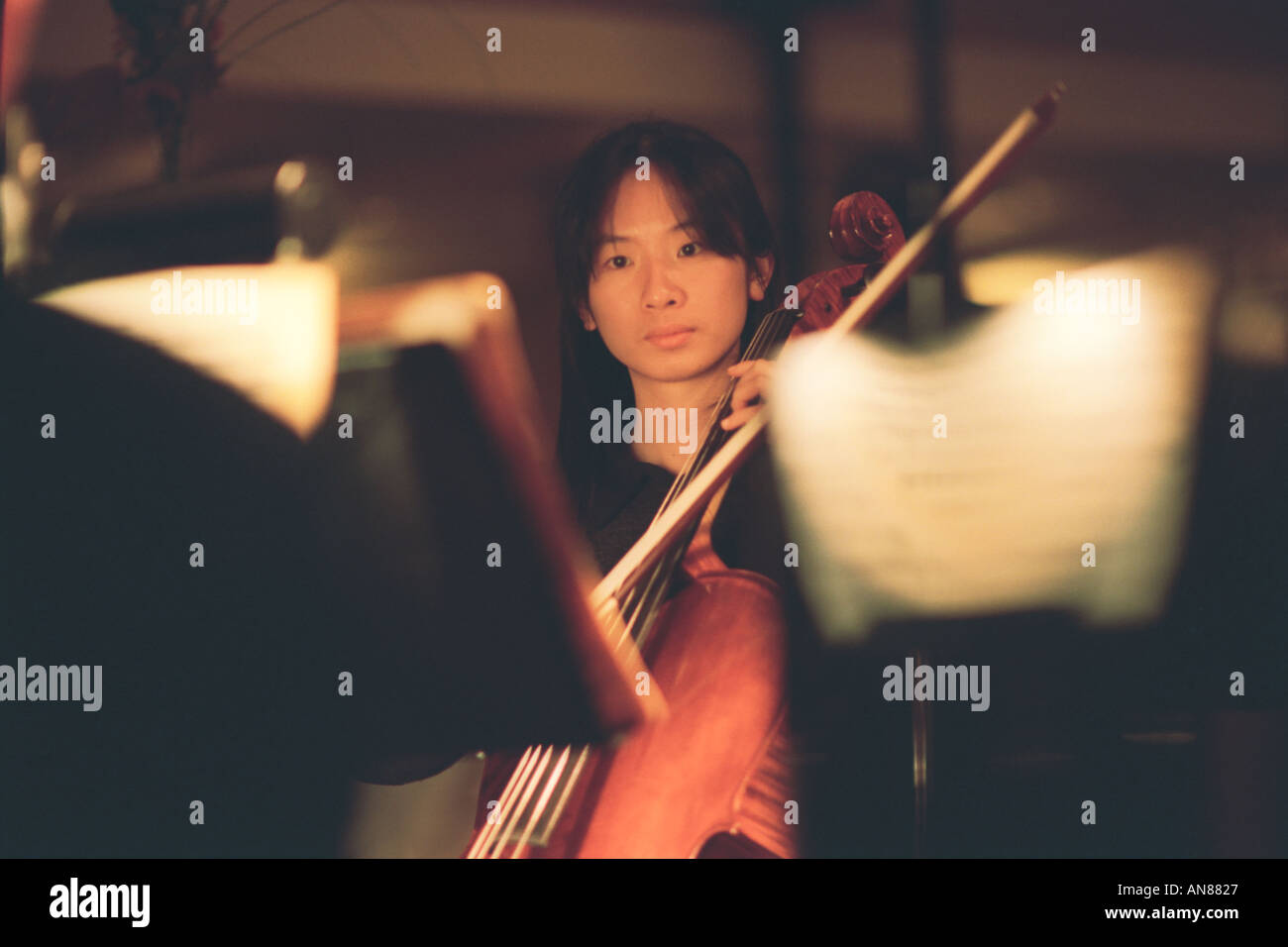 female Chinese American playing cello Stock Photo - Alamy