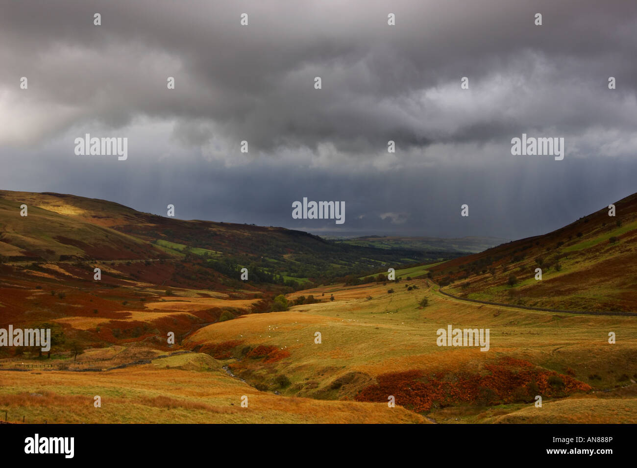 Valley in Brecon Beacons National Park, Wales, UK Stock Photo - Alamy