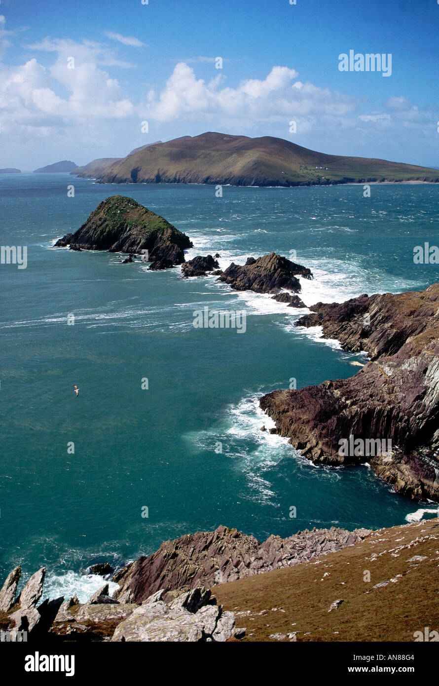 A view blasket islands hi-res stock photography and images - Alamy