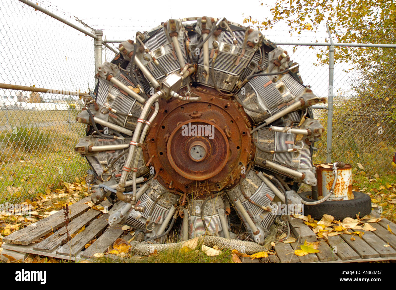 Argus Aero Engine Comox Heritage Air Park Vintage Aircraft Museum Stock ...