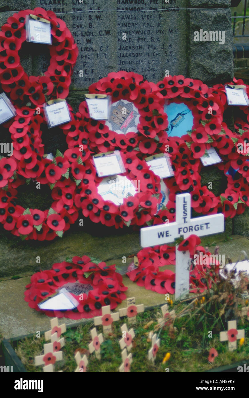 remembrance day poppies Stock Photo - Alamy