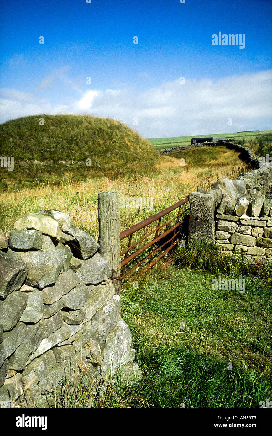 Elsdon hi-res stock photography and images - Alamy