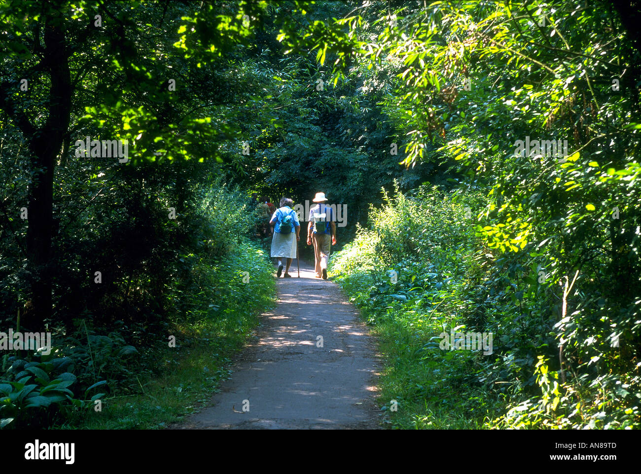 A couple follow the Weald Way near Tonbridge Stock Photo - Alamy