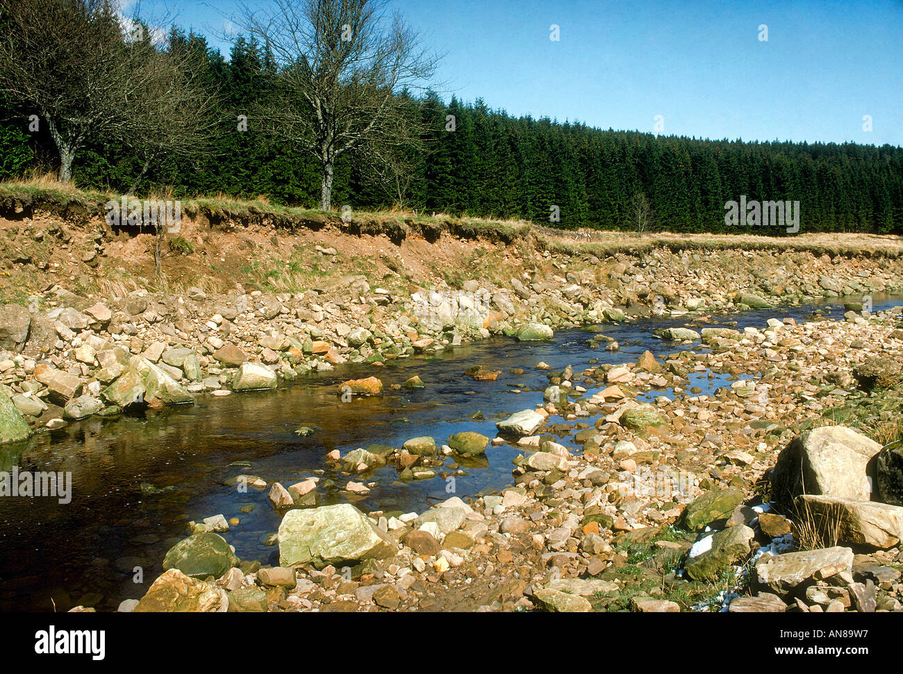 Kielder Forest the Forestry Commission s largest forest Stock Photo - Alamy