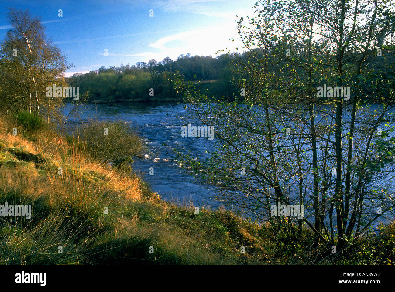 The River Tyne at Wylam Stock Photo - Alamy