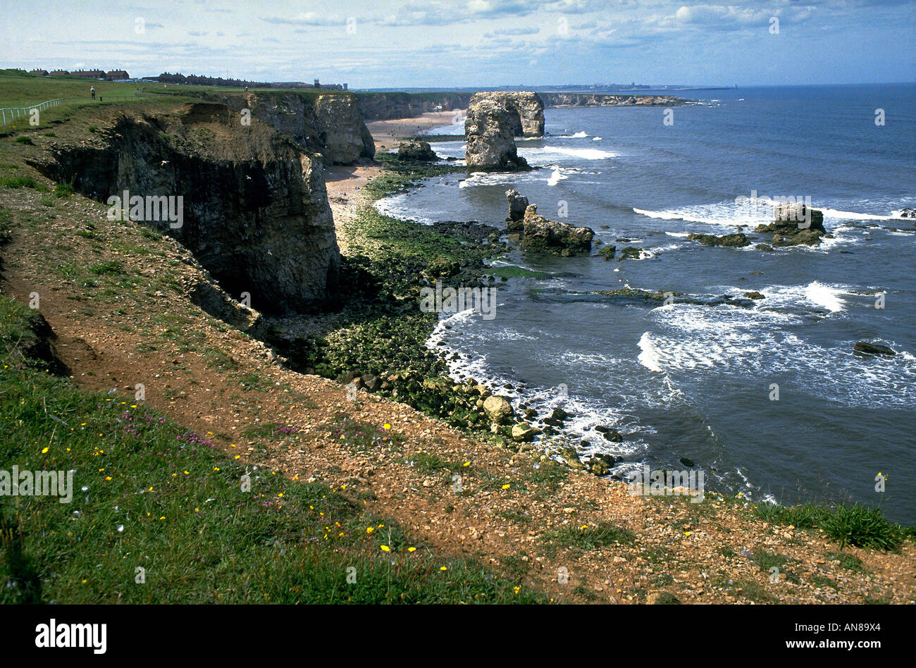 Rock and cliff coastal scenery at South Shields Stock Photo - Alamy