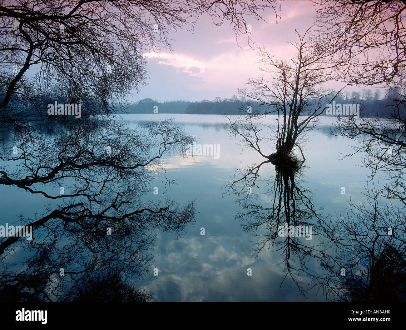 Bolam lake country park hi-res stock photography and images - Alamy