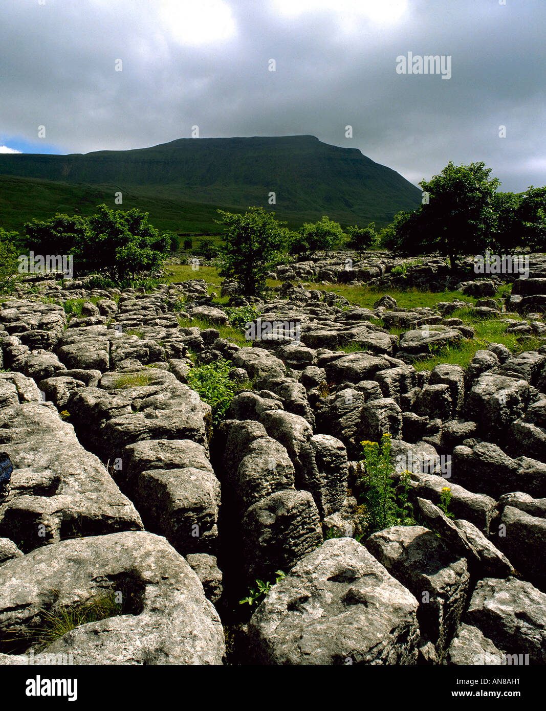 Southerscales Scar a limestone pavement with a view to Ingleborough ...