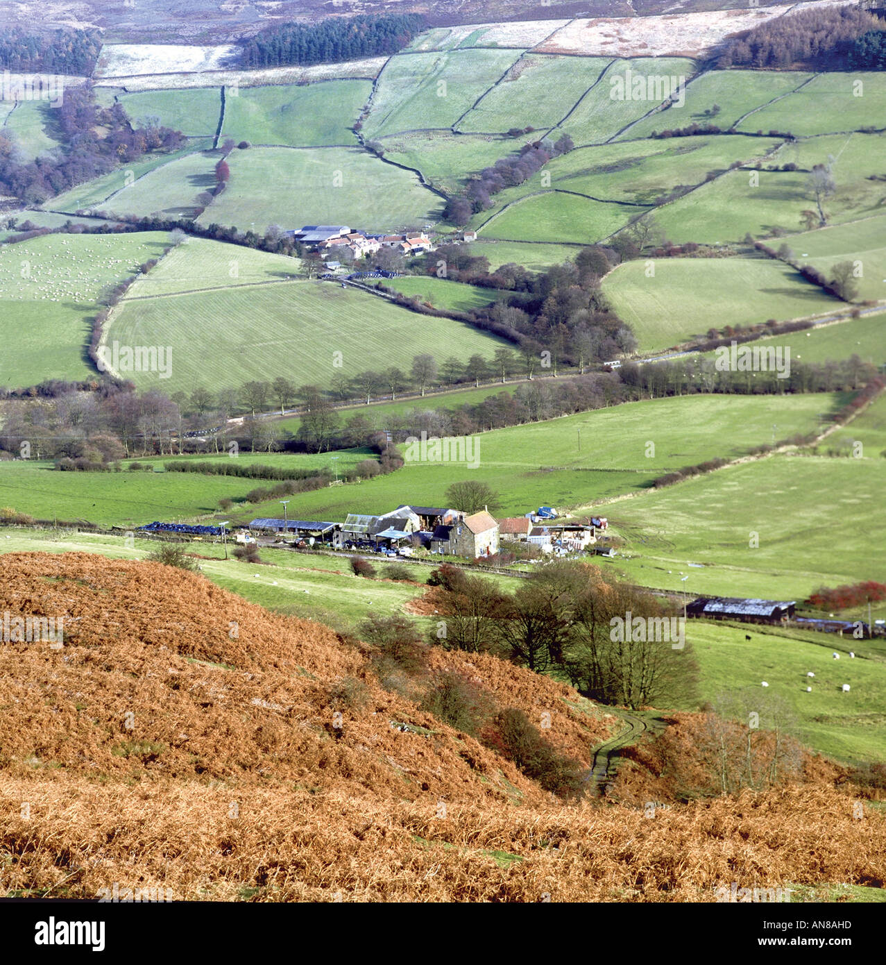 Landscape of field patterns seen from the top of Rosedale Chimney in ...