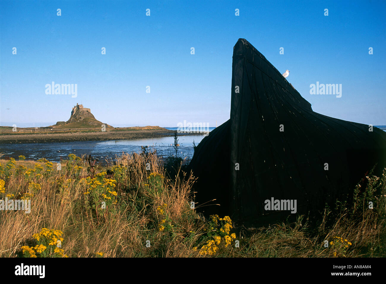 A boat seen in front of Holy Island Stock Photo - Alamy