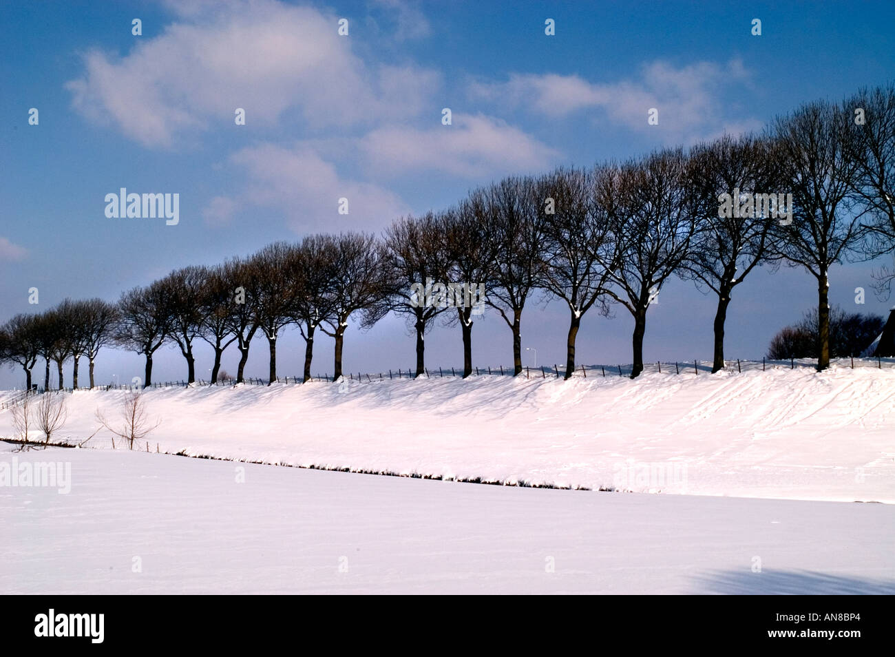 Netherlands Holland Winter Snow Ice Farm Road Stock Photo - Alamy