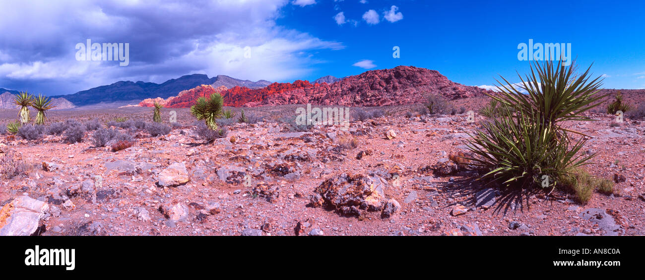 Red Rocks Nevada Stock Photo - Alamy