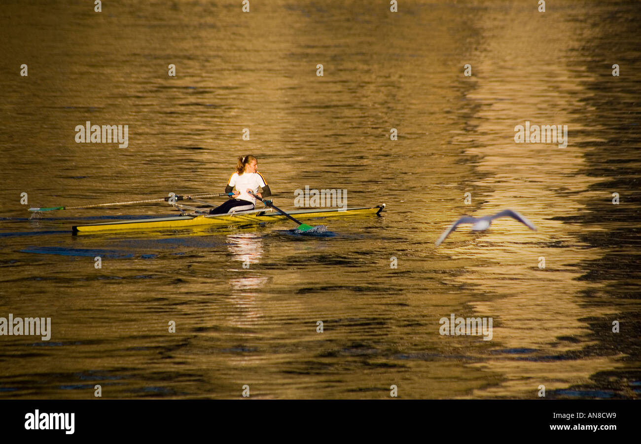 Single sculler hi-res stock photography and images - Alamy