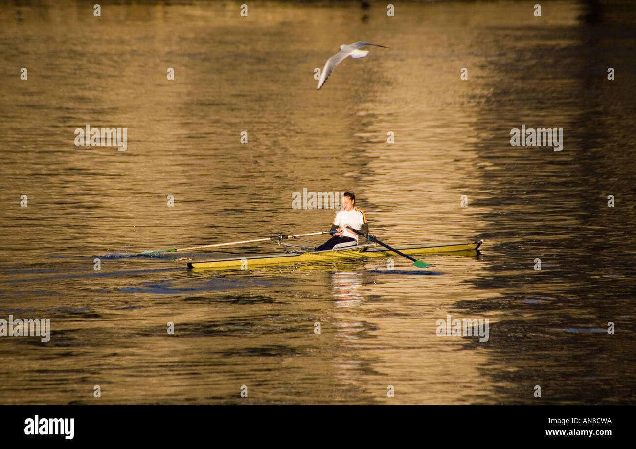 Single sculler hi-res stock photography and images - Alamy