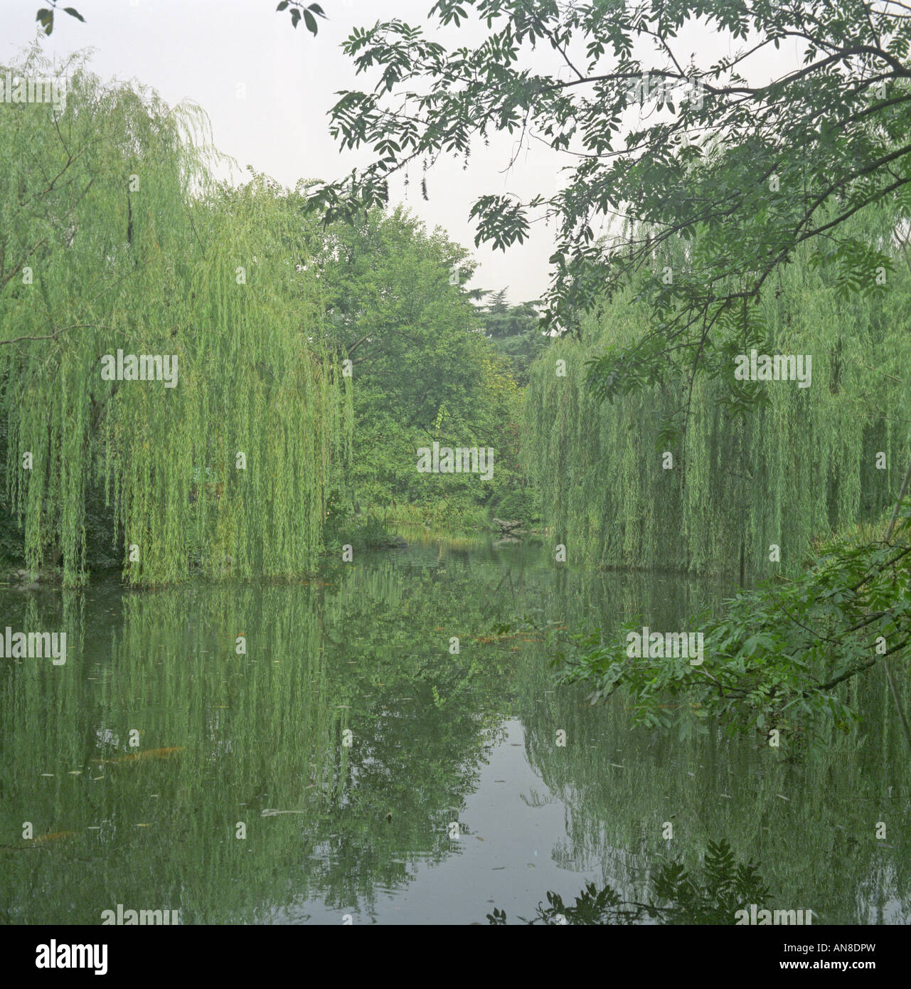 xihu lake hangzhou china Stock Photo - Alamy