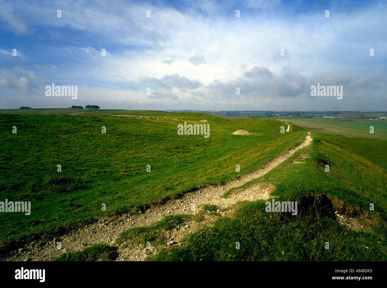 Barbury castle hi-res stock photography and images - Alamy